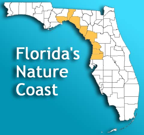 Nature Coast Of Fla Map
