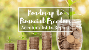 Roadmap to Financial Freedom: Accountability Report August 2018 ...