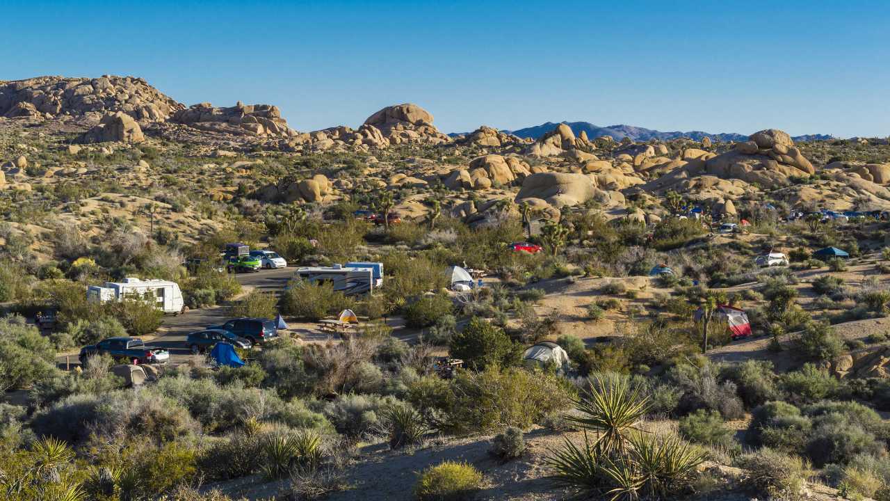 Complete Guide to Visiting Joshua Tree National Park