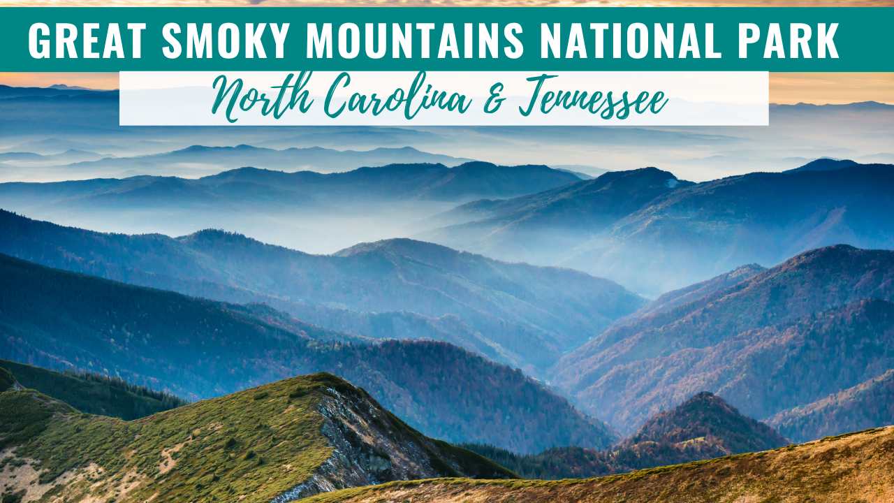 Everything You Need to Know About Visiting Great Smoky Mountains ...