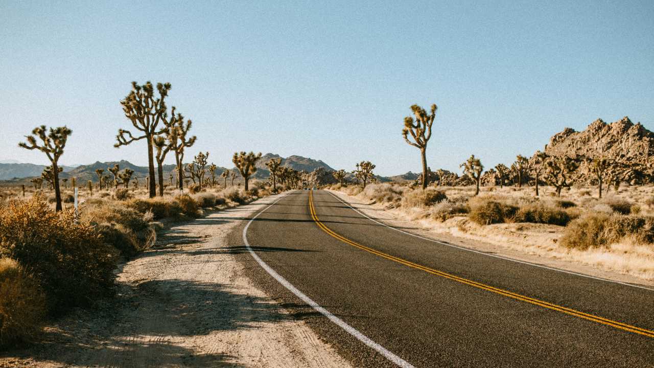 Complete Guide to Visiting Joshua Tree National Park
