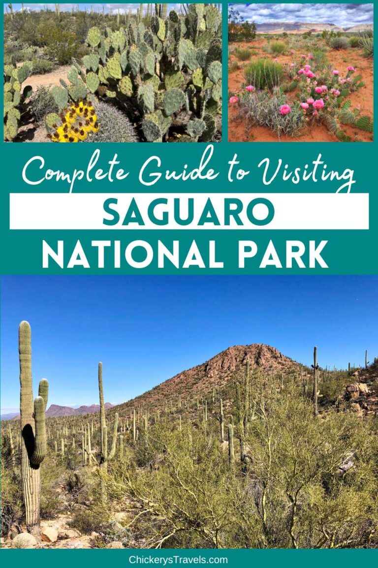 Complete Guide to Saguaro National Park - Chickery's Travels
